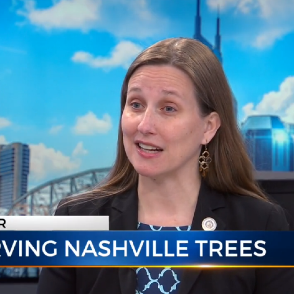 Angie on the News 1 | Angie Henderson for Vice Mayor